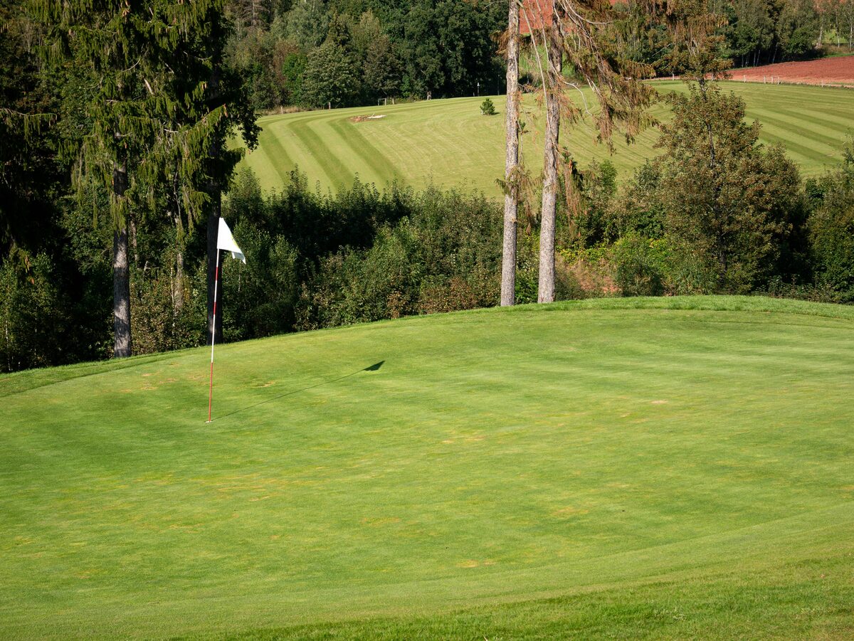 SwingStock | Quality Golf Clubs without the Retail Price.